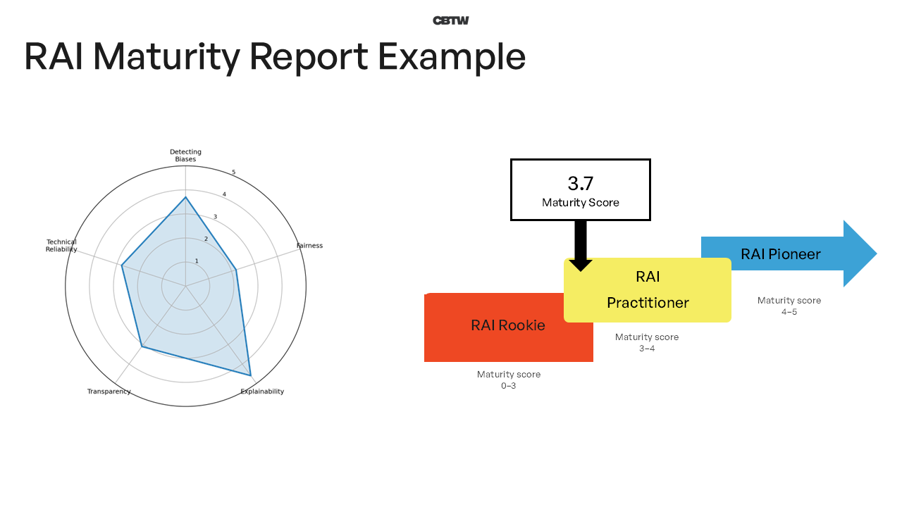 Evaluation of Compliance With the EU AI Act for a European Bank - CBTW